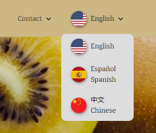 Add Flags to the Locale Switcher | Webflow Localization | Sygnal-U